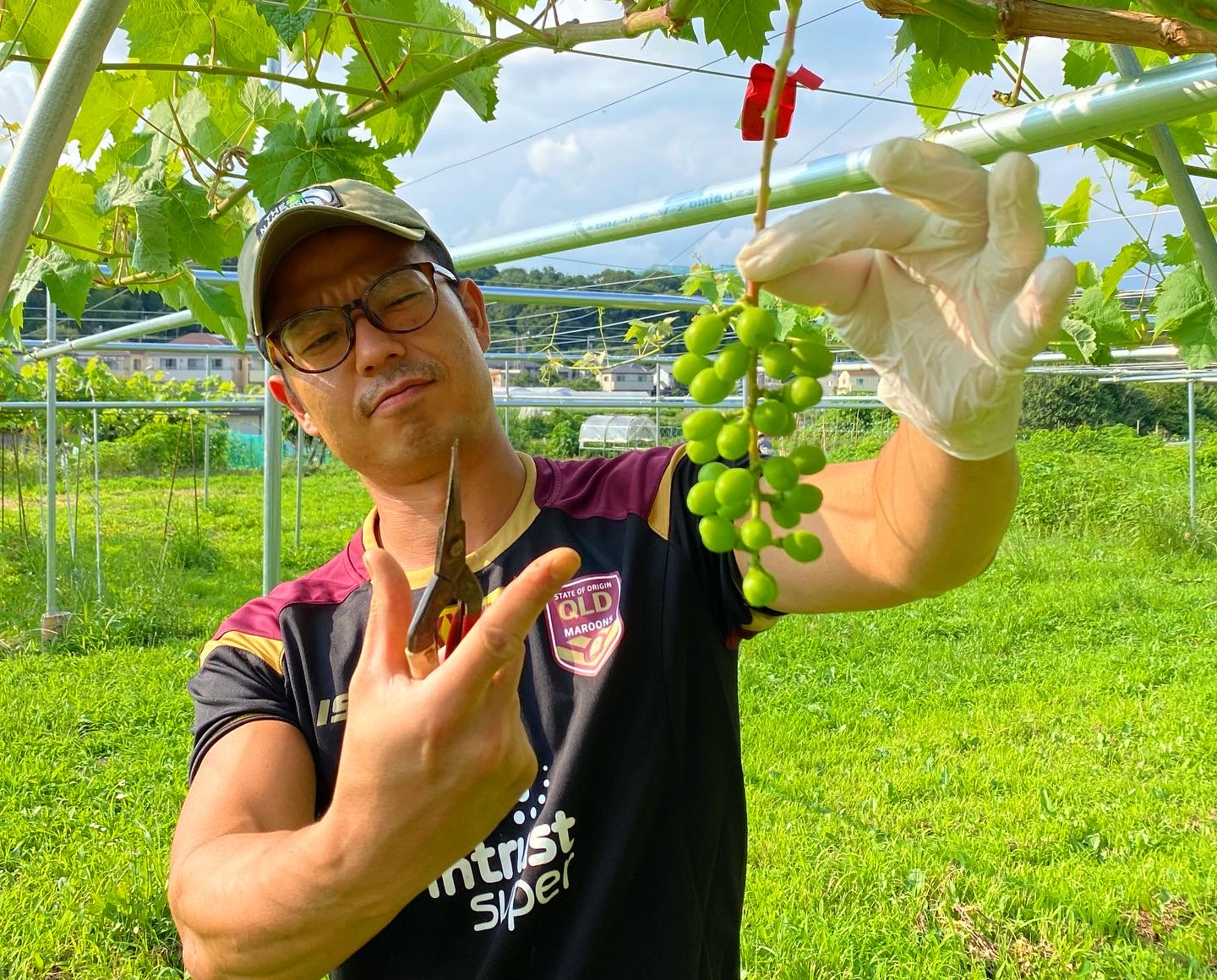 13A20722-D27D-457B-96A1-AF438A2127AB | 中西ファーム公式サイト｜八王子野菜